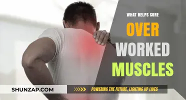 Understanding Sling Muscles: Function, Benefits, And Effective Workout ...