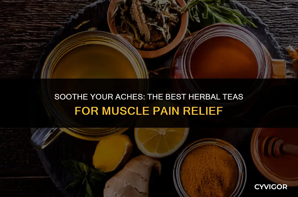 Soothe Your Aches: The Best Herbal Teas For Muscle Pain Relief | CyVigor