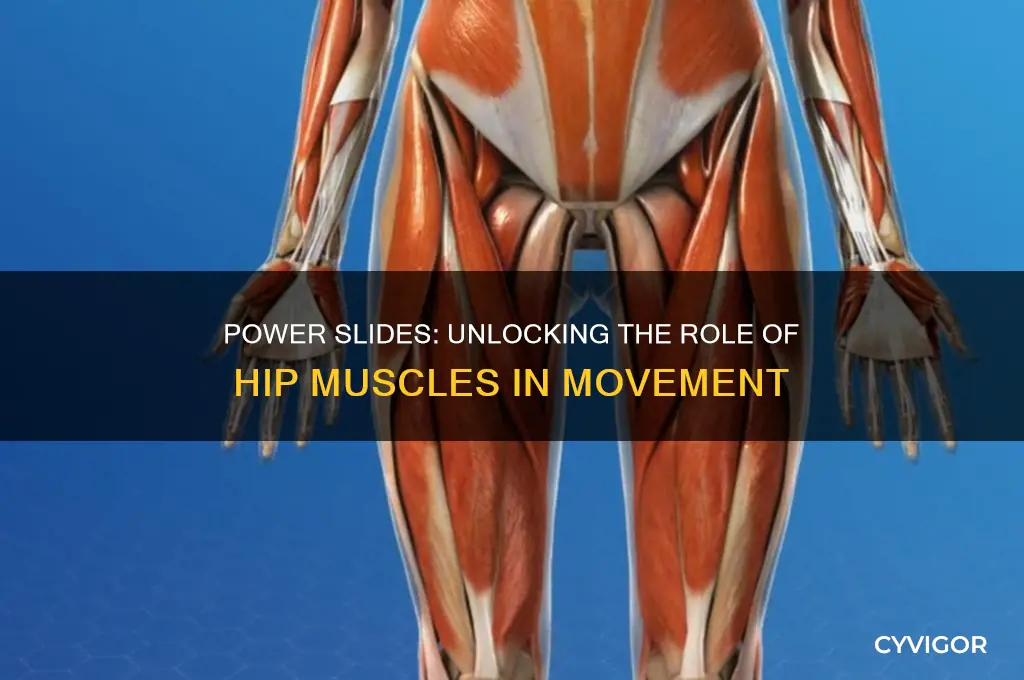 Power Slides: Unlocking The Role Of Hip Muscles In Movement | CyVigor
