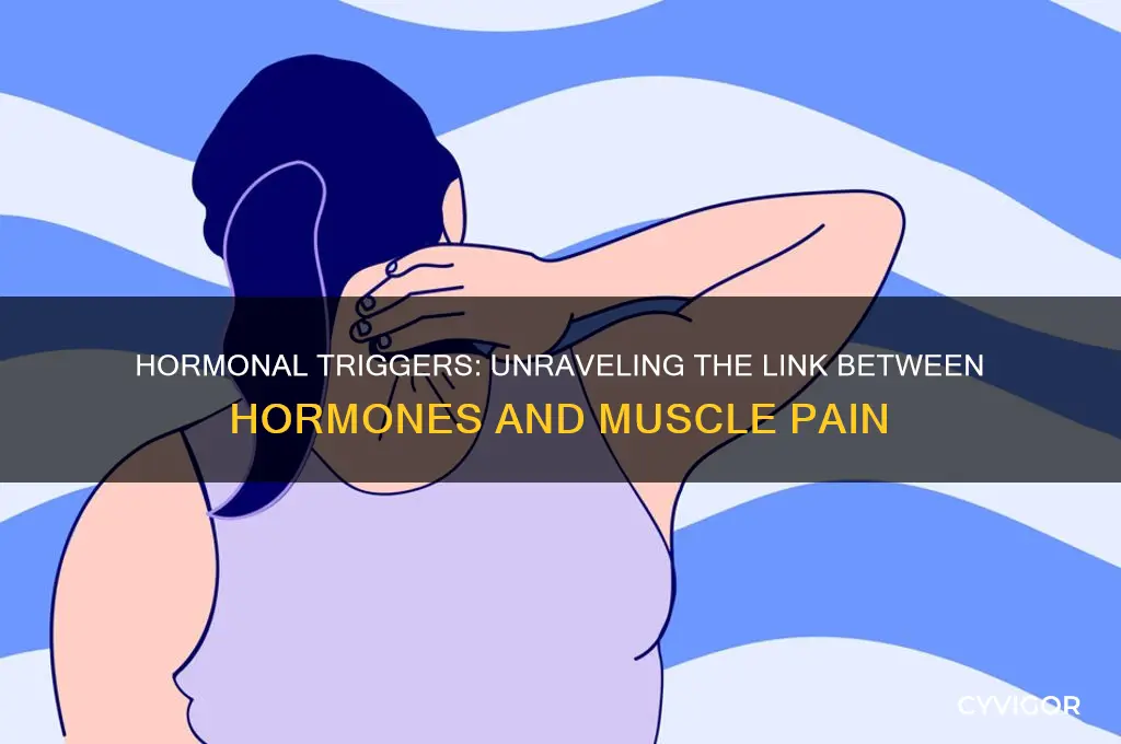 Hormonal Triggers: Unraveling The Link Between Hormones And Muscle Pain ...