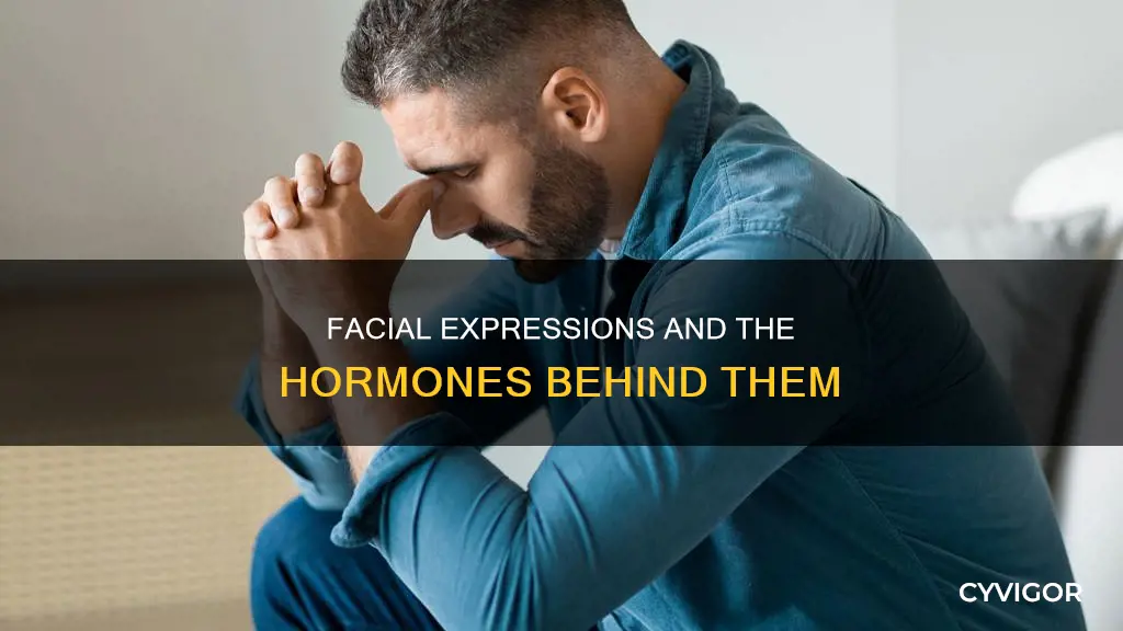 Facial Expressions And The Hormones Behind Them | CyVigor