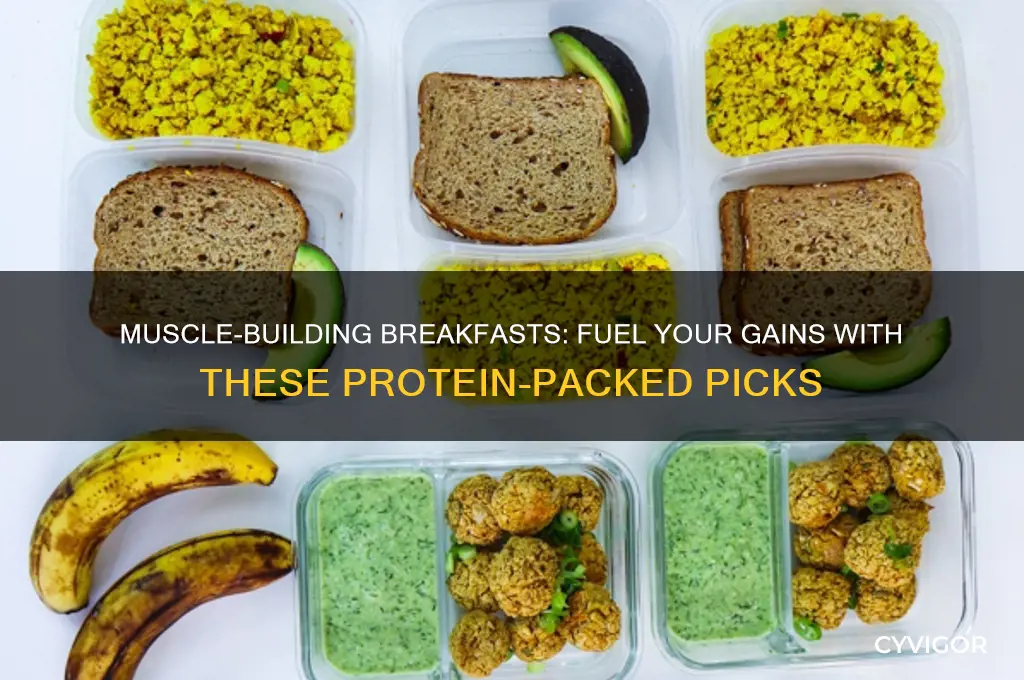 Muscle-Building Breakfasts: Fuel Your Gains With These Protein-Packed ...