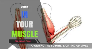 Malnourished Muscles: What Happens And How To Recover | CyVigor