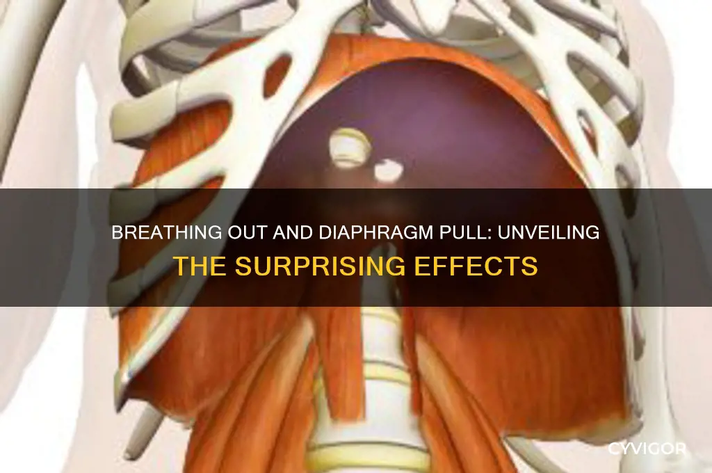 Breathing Out And Diaphragm Pull: Unveiling The Surprising Effects ...