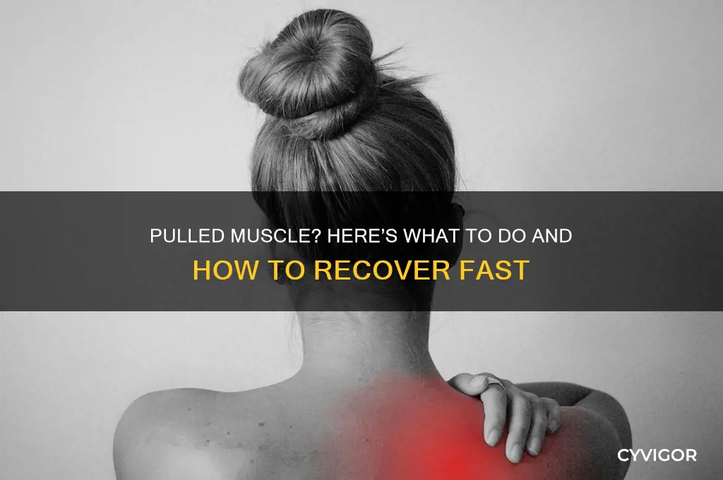 Pulled Muscle? Here’S What To Do And How To Recover Fast | CyVigor
