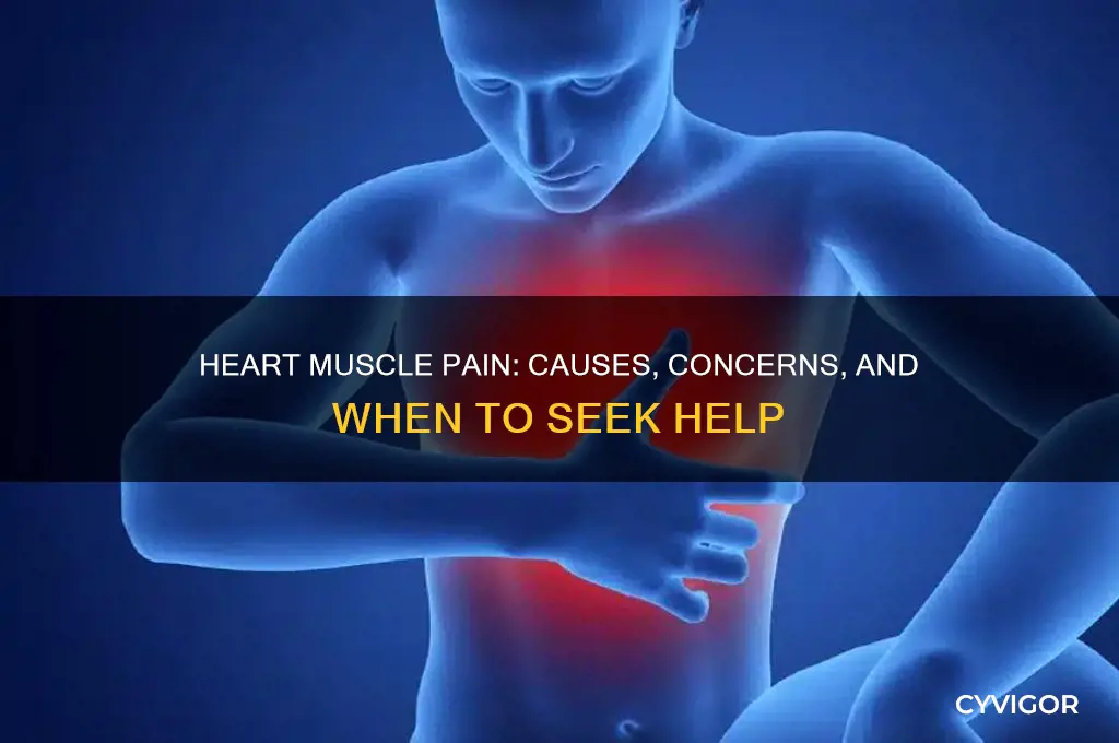 Heart Muscle Pain: Causes, Concerns, And When To Seek Help | CyVigor