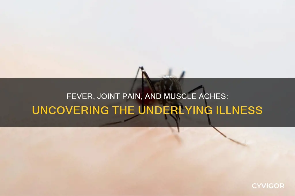 Fever, Joint Pain, And Muscle Aches: Uncovering The Underlying Illness ...