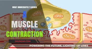Understanding Chronic Fatigue, Muscle Weakness, Joint Pain, And Fever ...