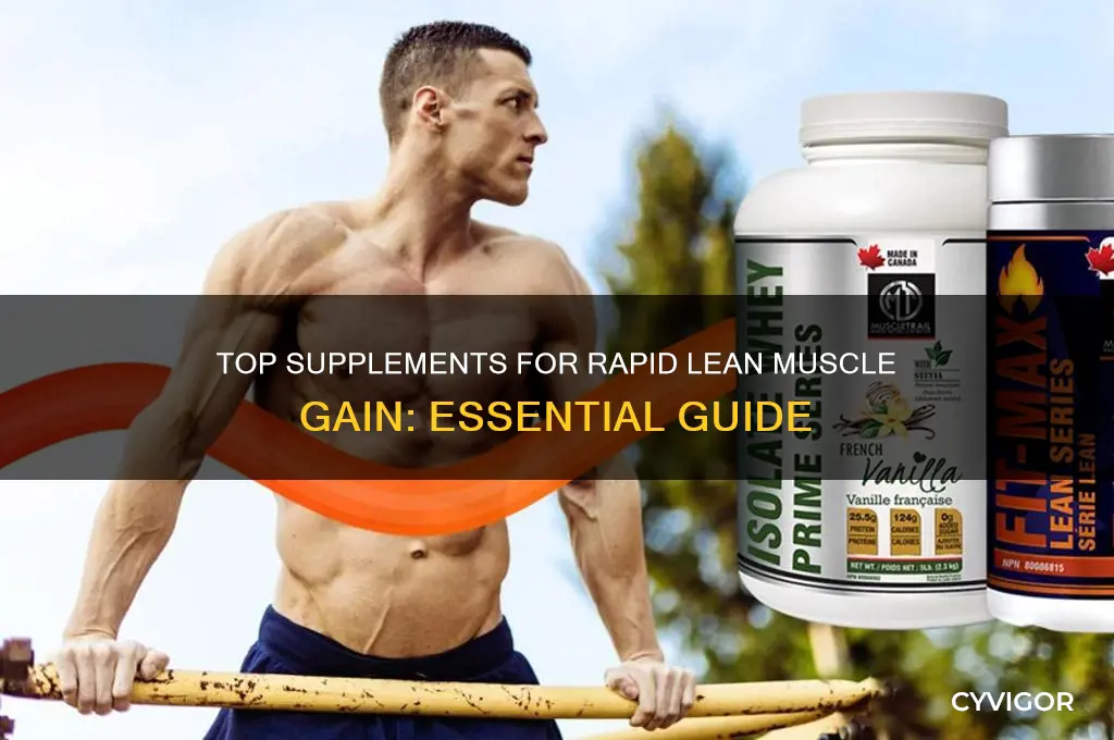 Top Supplements For Rapid Lean Muscle Gain: Essential Guide | CyVigor