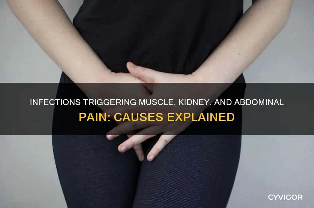 Infections Triggering Muscle, Kidney, And Abdominal Pain: Causes ...