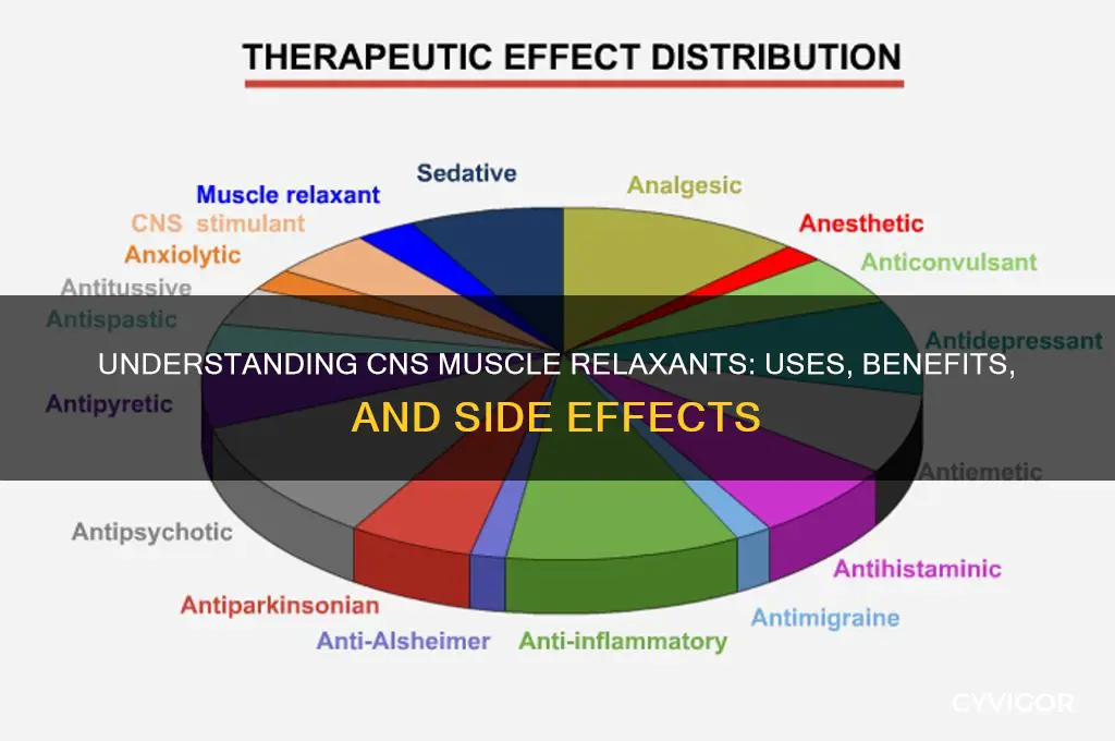 Understanding Cns Muscle Relaxants: Uses, Benefits, And Side Effects ...