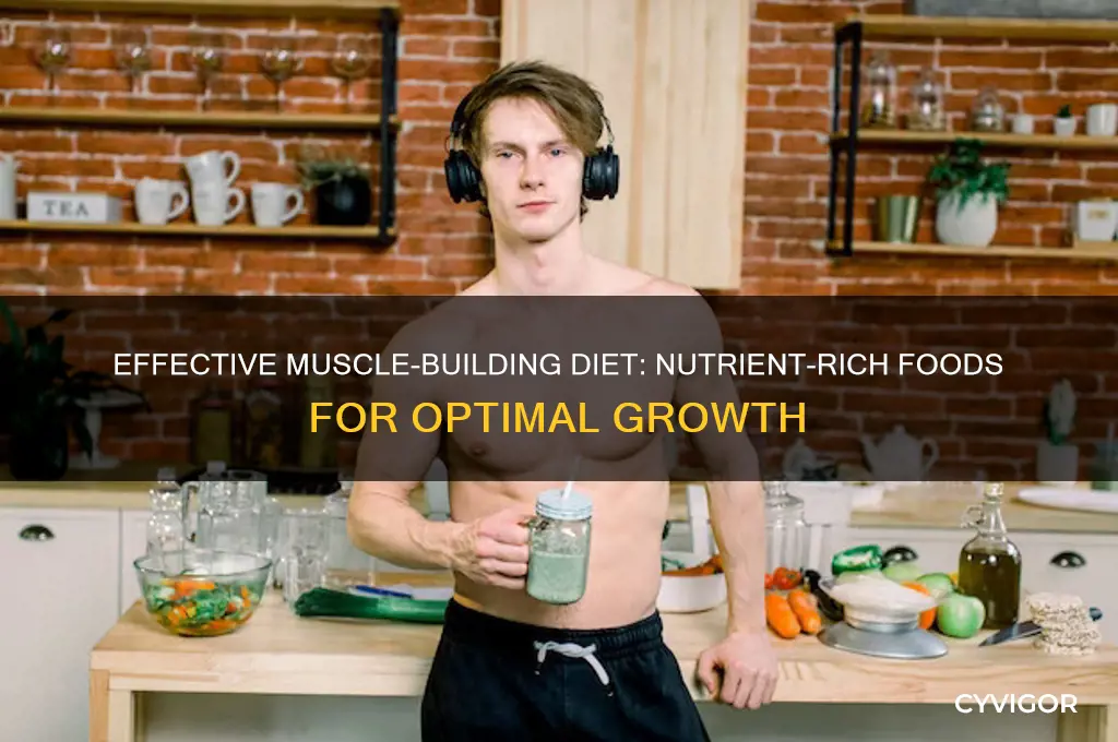 Effective Muscle-Building Diet: Nutrient-Rich Foods For Optimal Growth ...