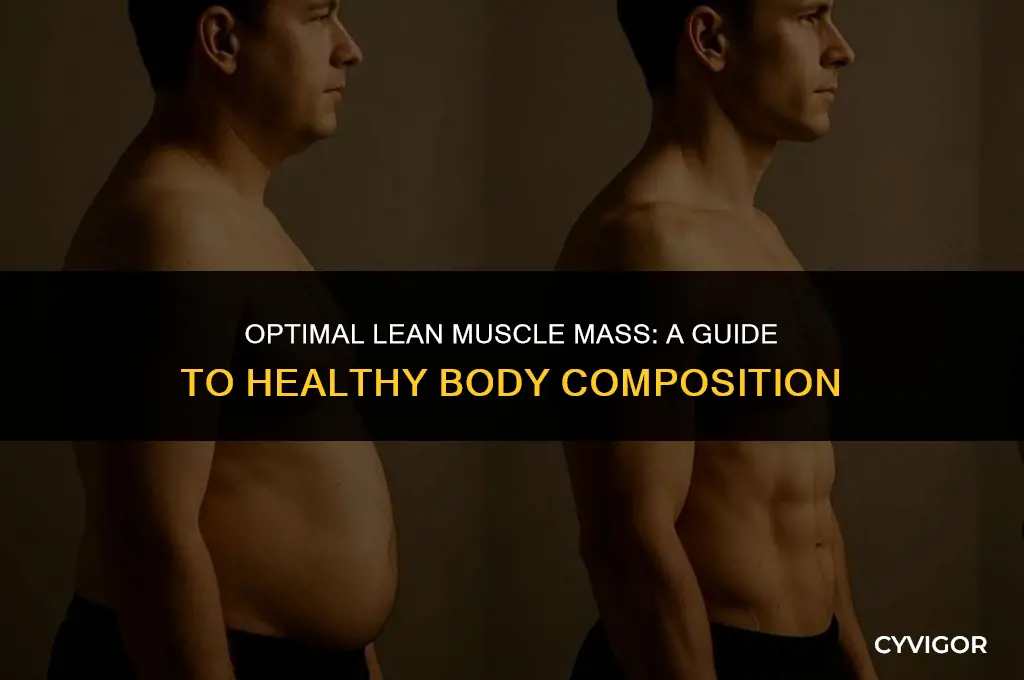Optimal Lean Muscle Mass: A Guide To Healthy Body Composition | CyVigor