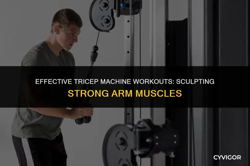 Effective Tricep Machine Workouts: Sculpting Strong Arm Muscles | CyVigor