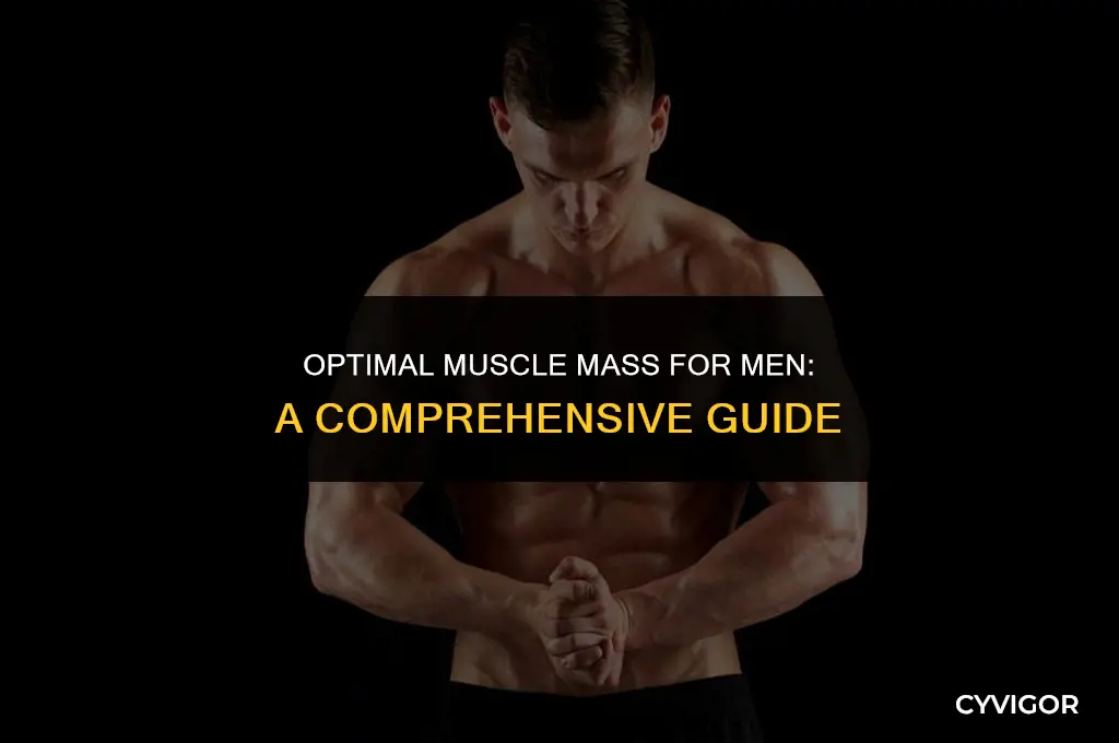 Optimal Muscle Mass For Men: A Comprehensive Guide | CyVigor