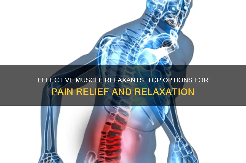 Effective Muscle Relaxants: Top Options For Pain Relief And Relaxation ...