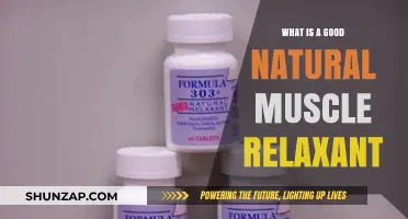 Understanding Muscle Relaxers: Names, Types, And Common Prescriptions ...