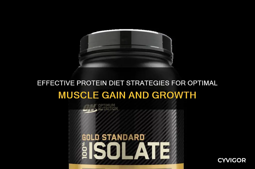 Effective Protein Diet Strategies For Optimal Muscle Gain And Growth ...