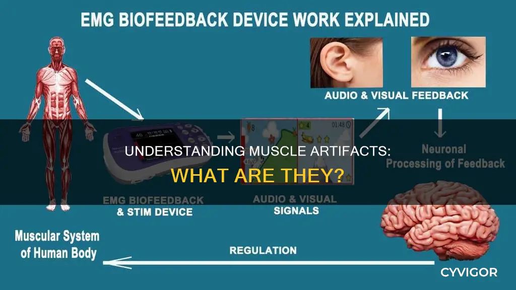 Understanding Muscle Artifacts: What Are They? | CyVigor