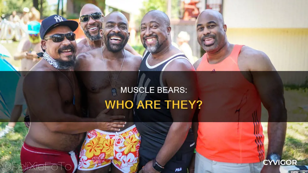 Muscle Bears: Who Are They? | CyVigor