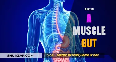 The Muscle Fulcrum: How It Works And Why It Matters | CyVigor