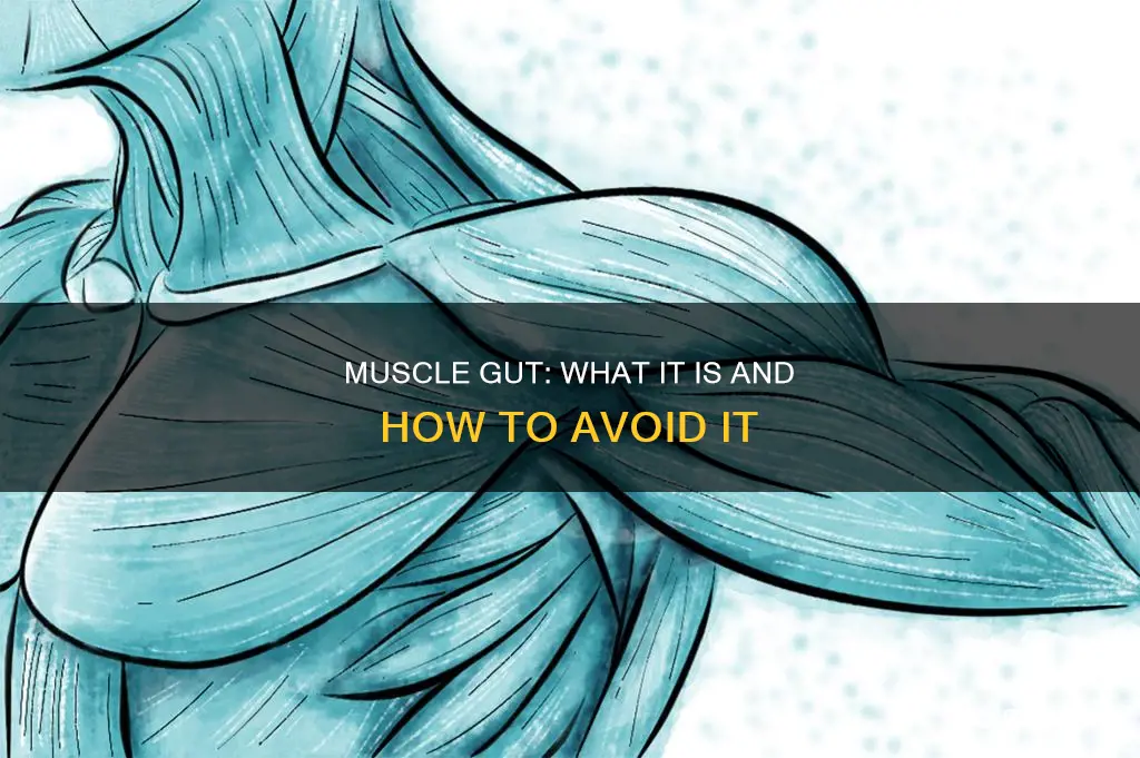 Muscle Gut: What It Is And How To Avoid It | CyVigor