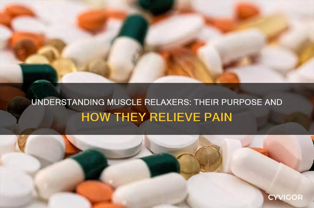 Understanding Muscle Relaxers: Their Purpose And How They Relieve Pain ...
