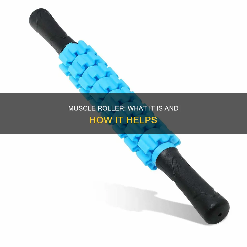 Muscle Roller: What It Is And How It Helps | CyVigor