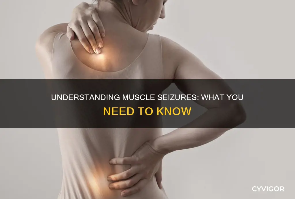 Understanding Muscle Seizures: What You Need To Know | CyVigor