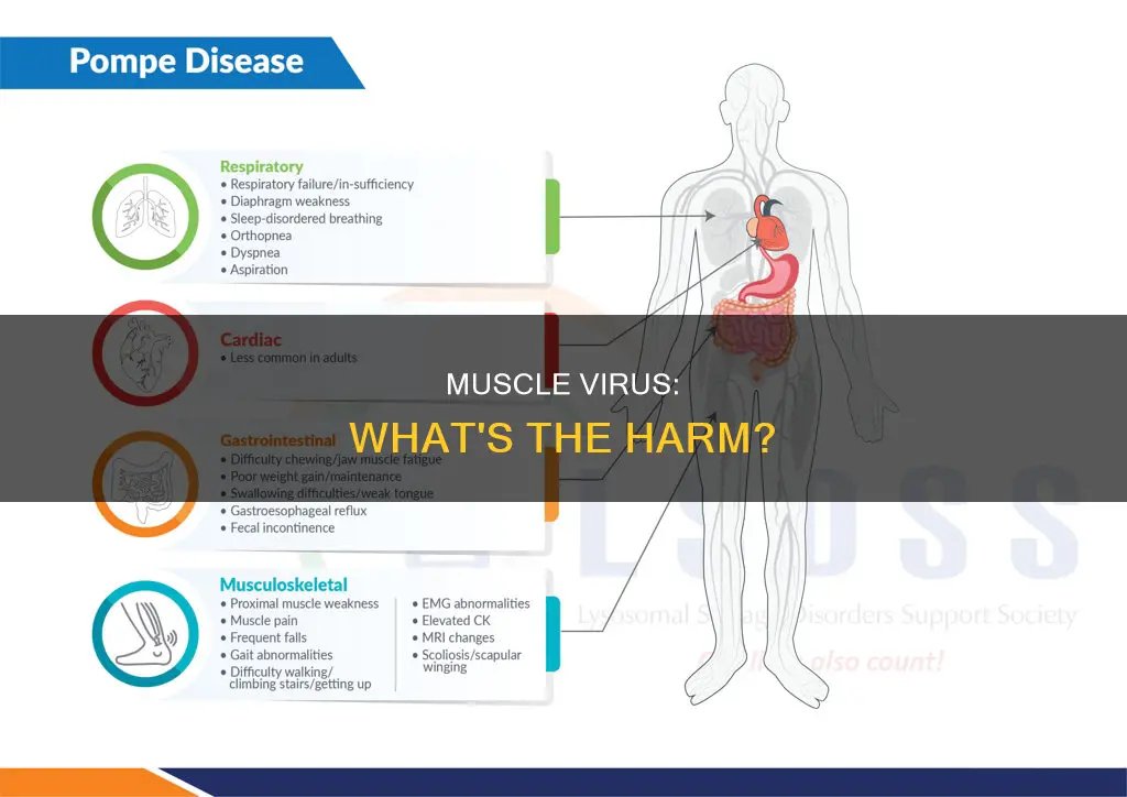 Muscle Virus: What's The Harm? | CyVigor