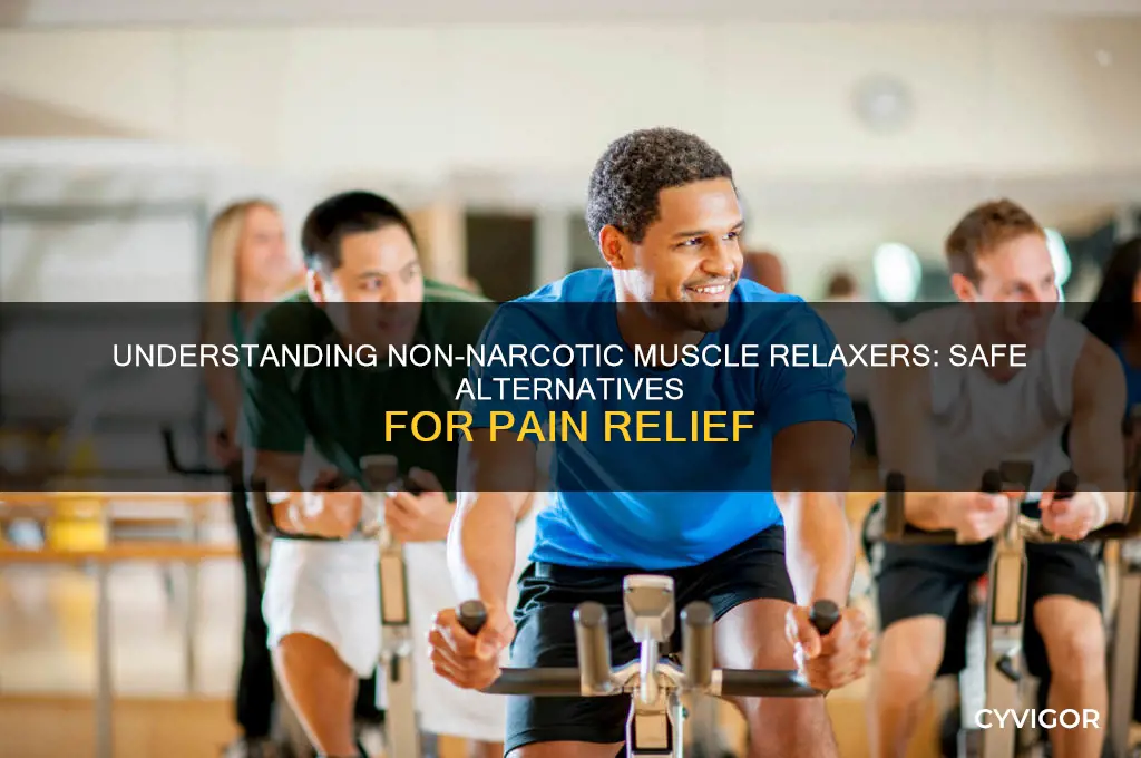 Understanding Non-Narcotic Muscle Relaxers: Safe Alternatives For Pain ...