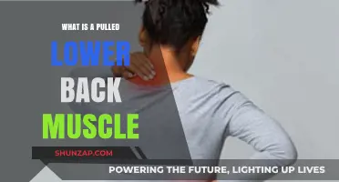 Understanding Pulled Back Muscles: Causes, Symptoms, And Recovery Tips ...