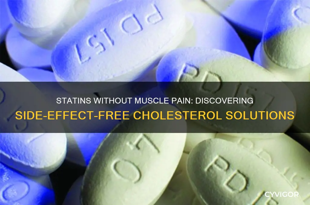 Statins Without Muscle Pain: Discovering Side-Effect-Free Cholesterol ...