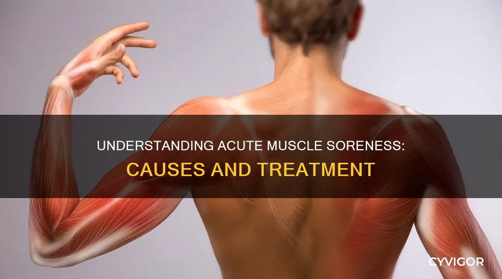 Understanding Acute Muscle Soreness: Causes And Treatment | CyVigor
