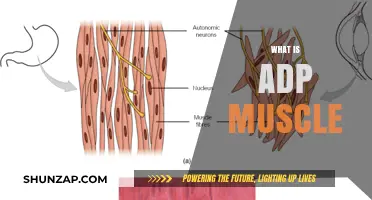 Understanding Abnormal Muscle Tone: Causes And Treatments | CyVigor