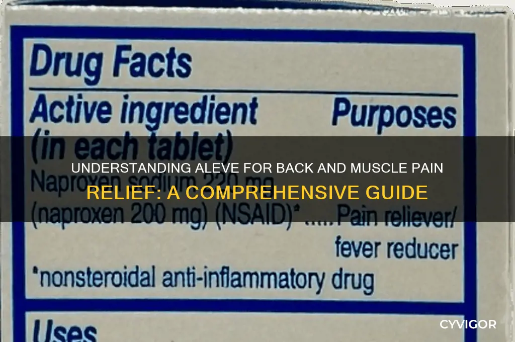 Understanding Aleve For Back And Muscle Pain Relief: A Comprehensive ...