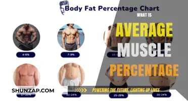 Axonal Sprouting: Muscle Repair And Growth | CyVigor