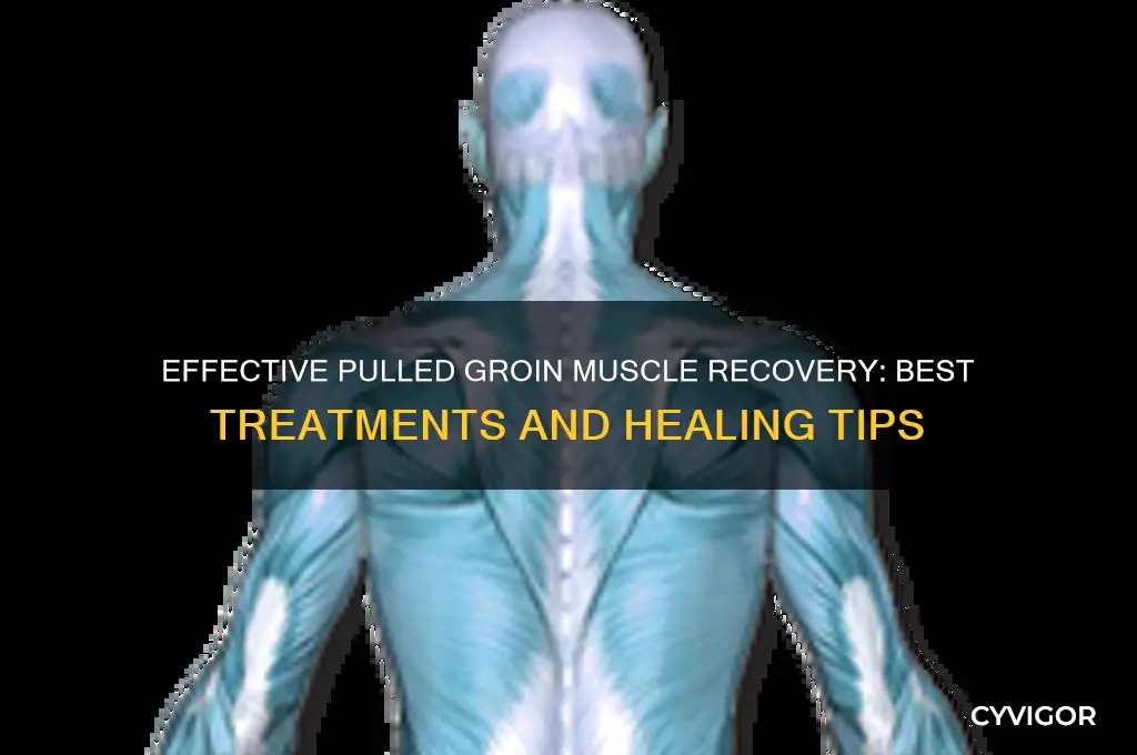 Effective Pulled Groin Muscle Recovery: Best Treatments And Healing ...