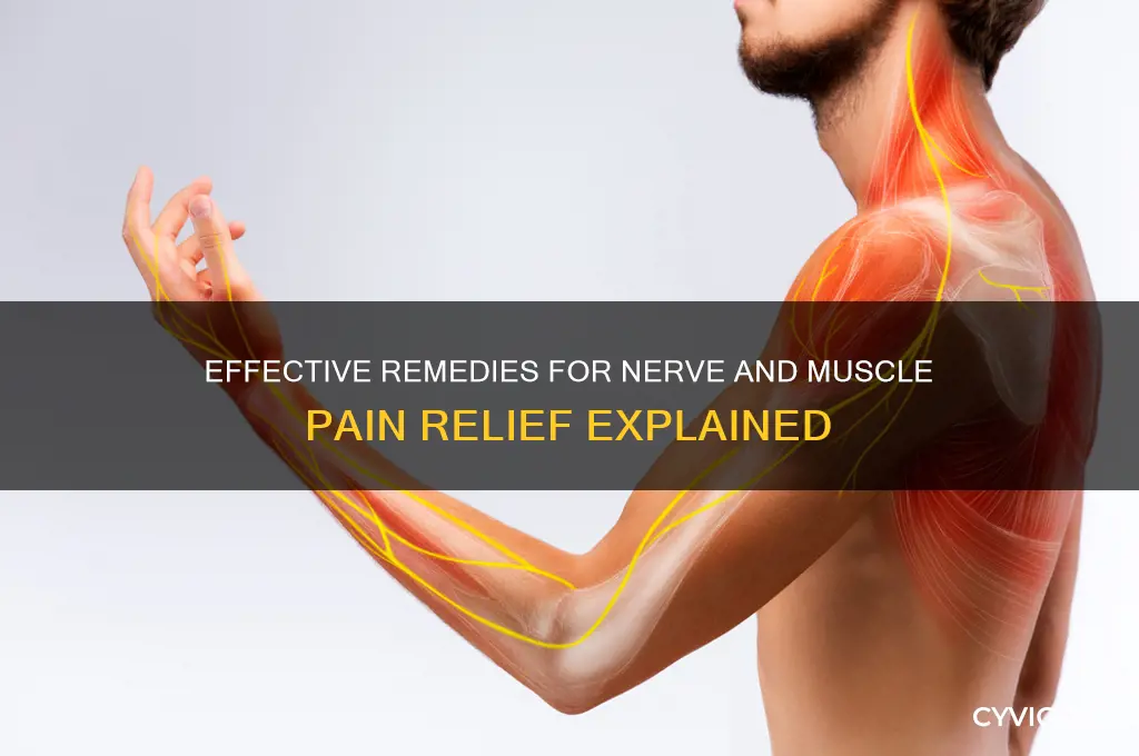 Effective Remedies For Nerve And Muscle Pain Relief Explained | CyVigor