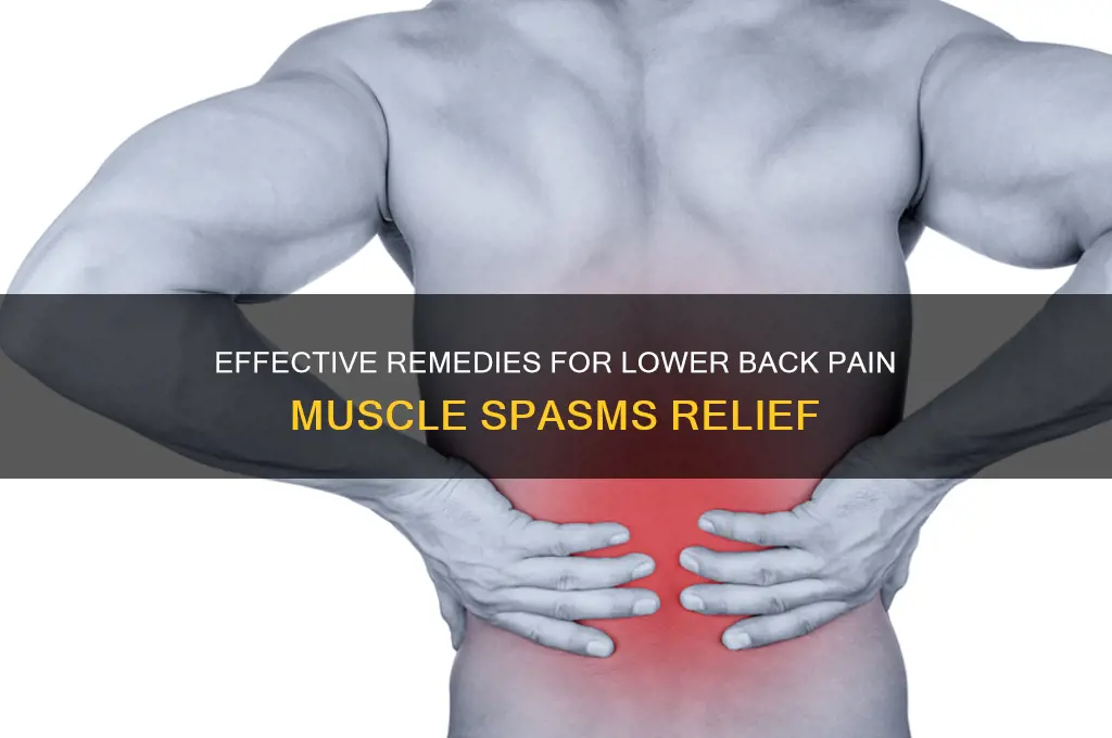 Effective Remedies For Lower Back Pain Muscle Spasms Relief | CyVigor
