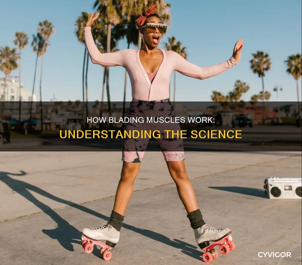 How Blading Muscles Work: Understanding The Science | CyVigor