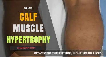 Hand Squeezers: Target Muscles And Strengthening Benefits Explained ...