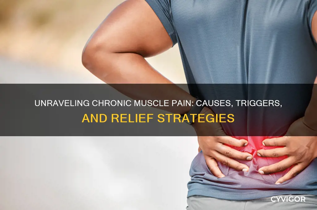 Unraveling Chronic Muscle Pain: Causes, Triggers, And Relief Strategies ...