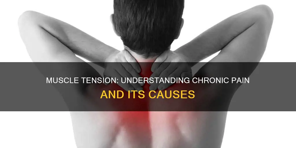Muscle Tension: Understanding Chronic Pain And Its Causes | CyVigor