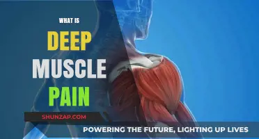 Understanding Lower Abdominal Muscle Pain: Causes, Symptoms, And Relief ...