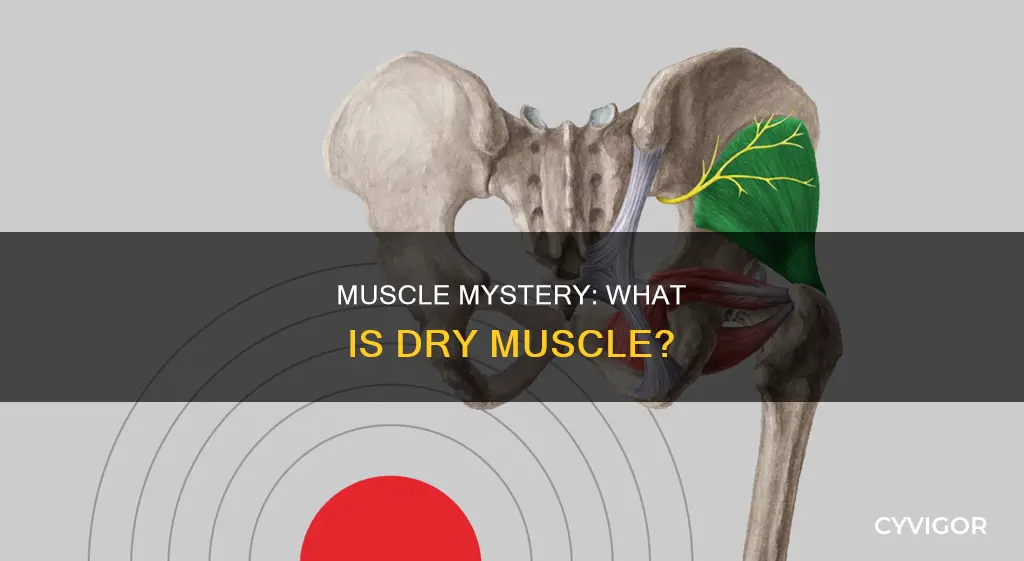 Muscle Mystery: What Is Dry Muscle? | CyVigor
