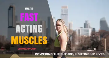 Fast-Twitch Muscle Fibers: Oxidative Powerhouses | CyVigor