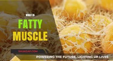 Understanding Fatty Muscle Atrophy: Causes And Treatment | CyVigor