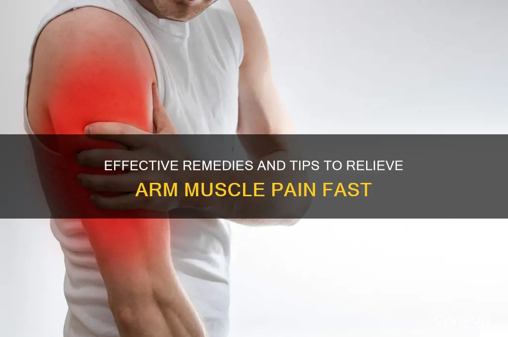 Effective Remedies And Tips To Relieve Arm Muscle Pain Fast | CyVigor