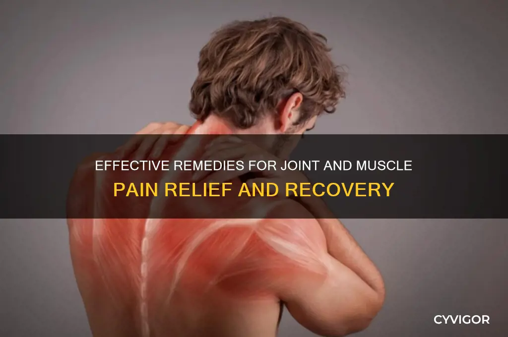 Effective Remedies For Joint And Muscle Pain Relief And Recovery | CyVigor